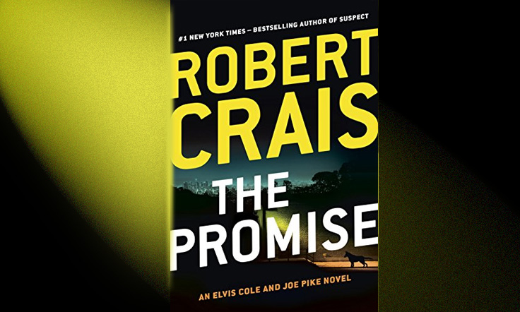 The Promise (a book review) – MojoFiction